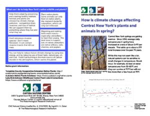 Climate-change-and-spring-fact-sheet | Earth@Home: Climate Change