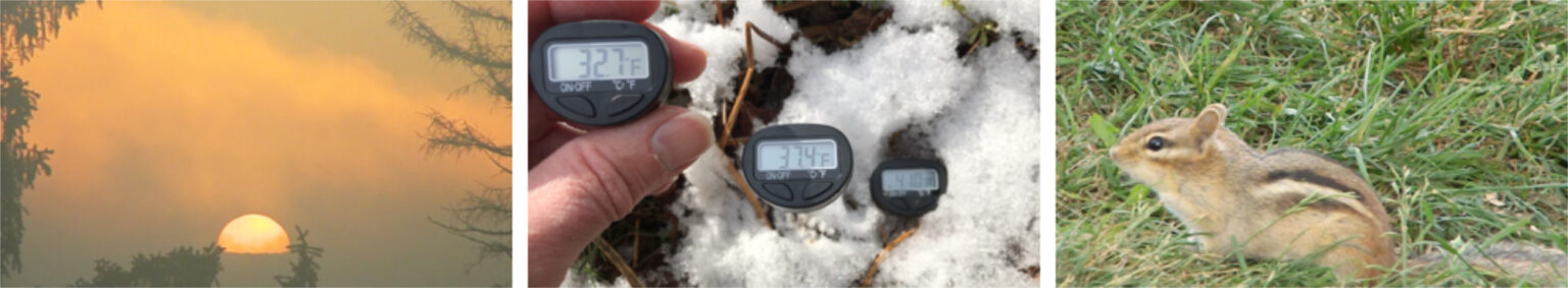 Sunlight Stored in Soil | Earth@Home: Climate Change