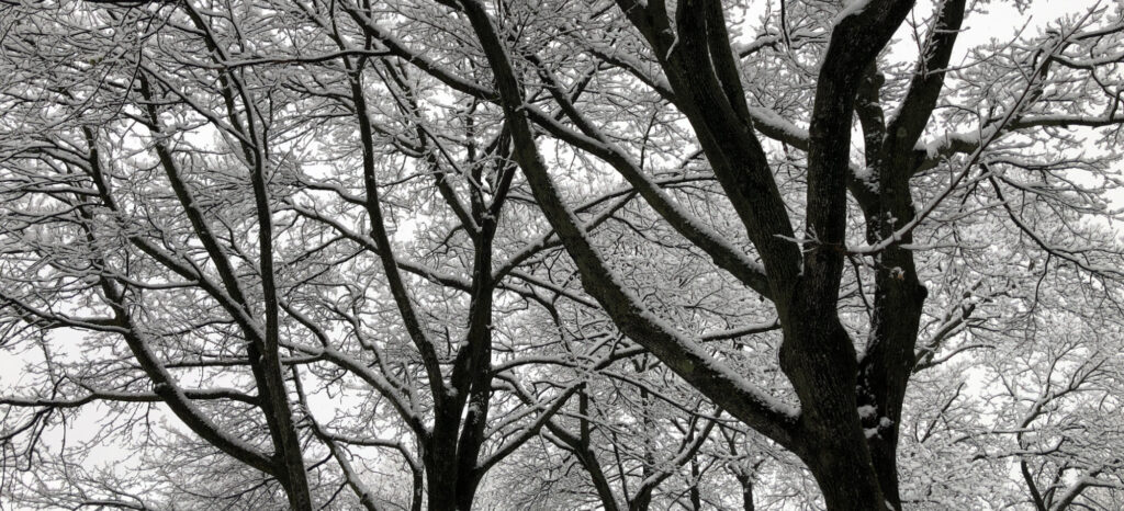 Climate Change Haiku | Earth@Home: Climate Change