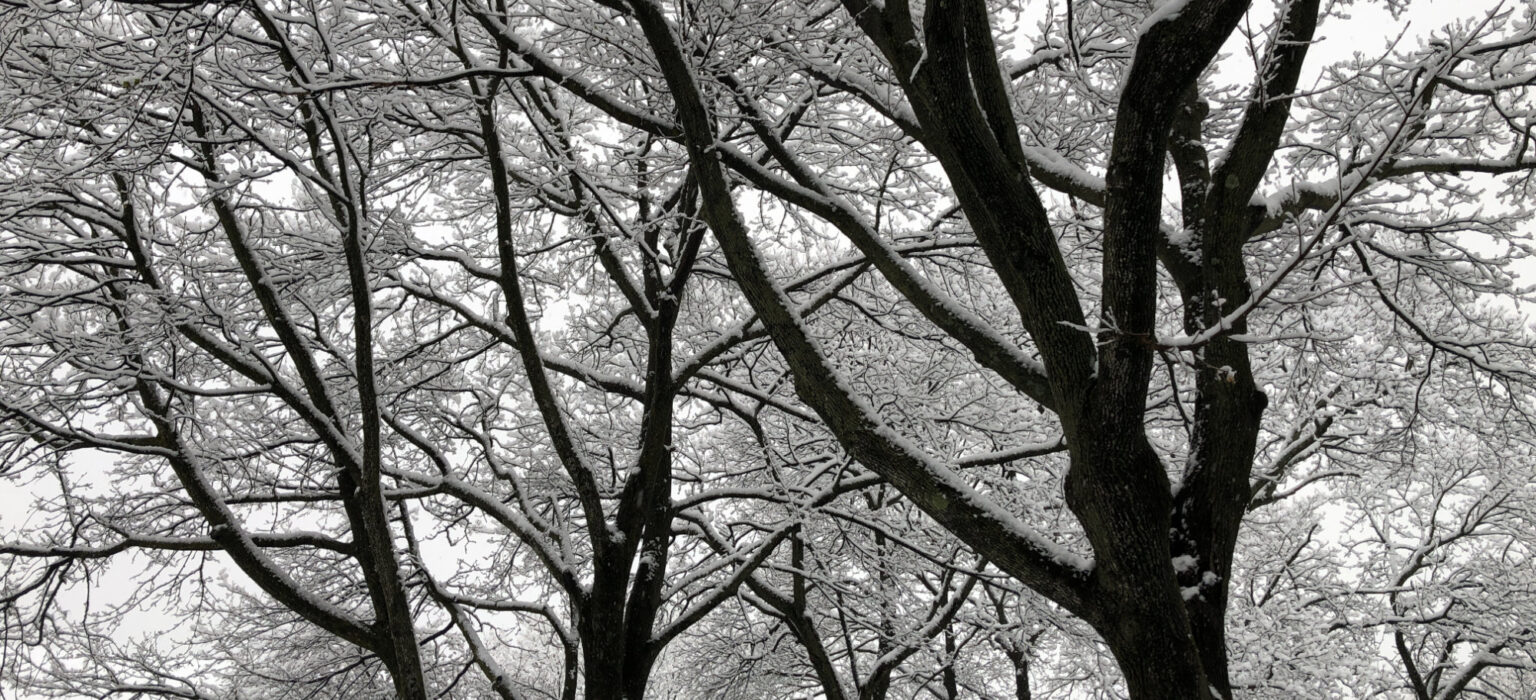 Climate Change Haiku | Earth@Home: Climate Change