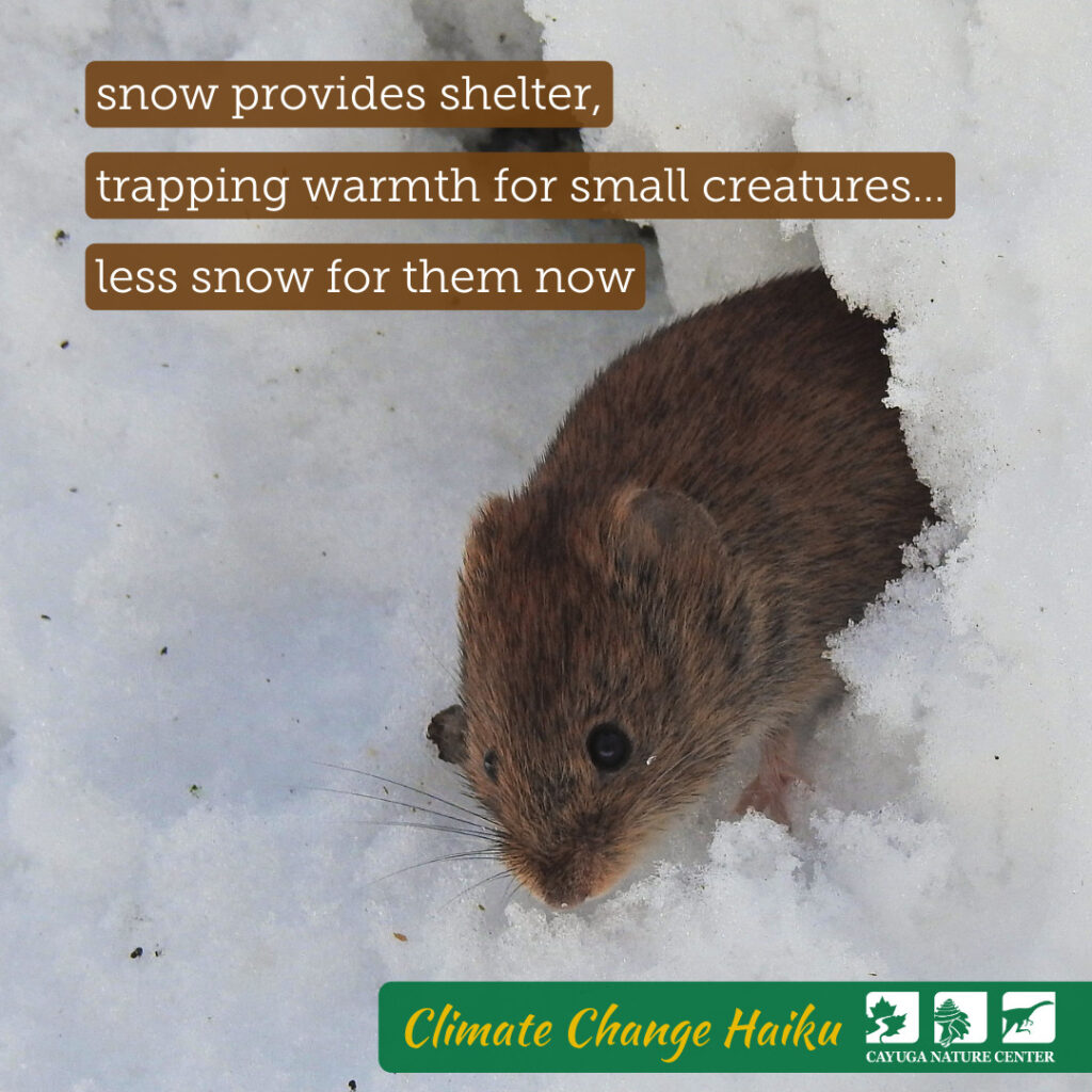 Climate change haiku – 3 | Earth@Home: Climate Change