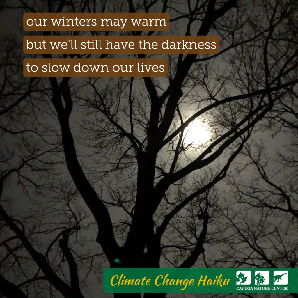 Climate change haiku – 5 | Earth@Home: Climate Change
