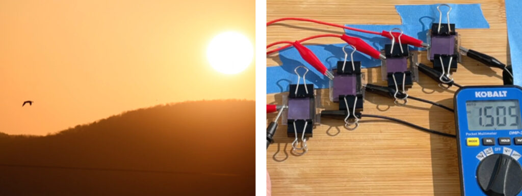 DIY Solar Energy: Photosynthetic Solar Cells | Earth@Home: Climate Change