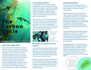 Ocean carbon cycle trifold | Earth@Home: Climate Change